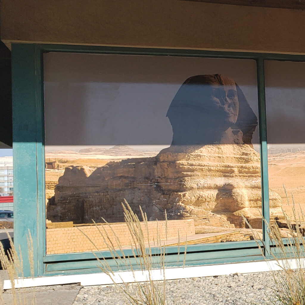 Window Graphics – 416digitalsigns